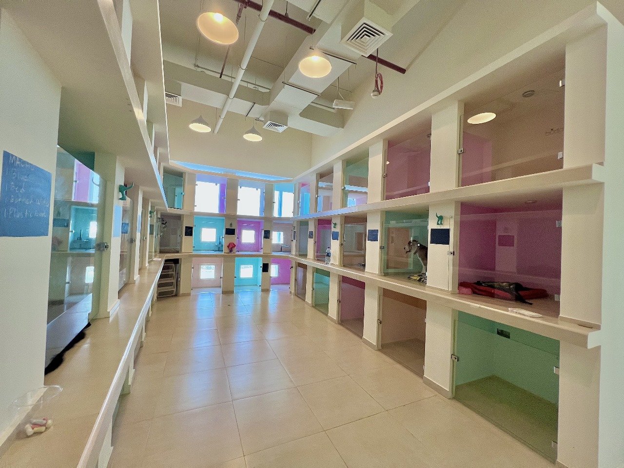 About – Nectar General Construction